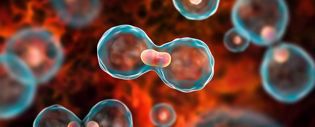 Artificial Intelligence Detects Breast Cancer 5 Years Before It ...